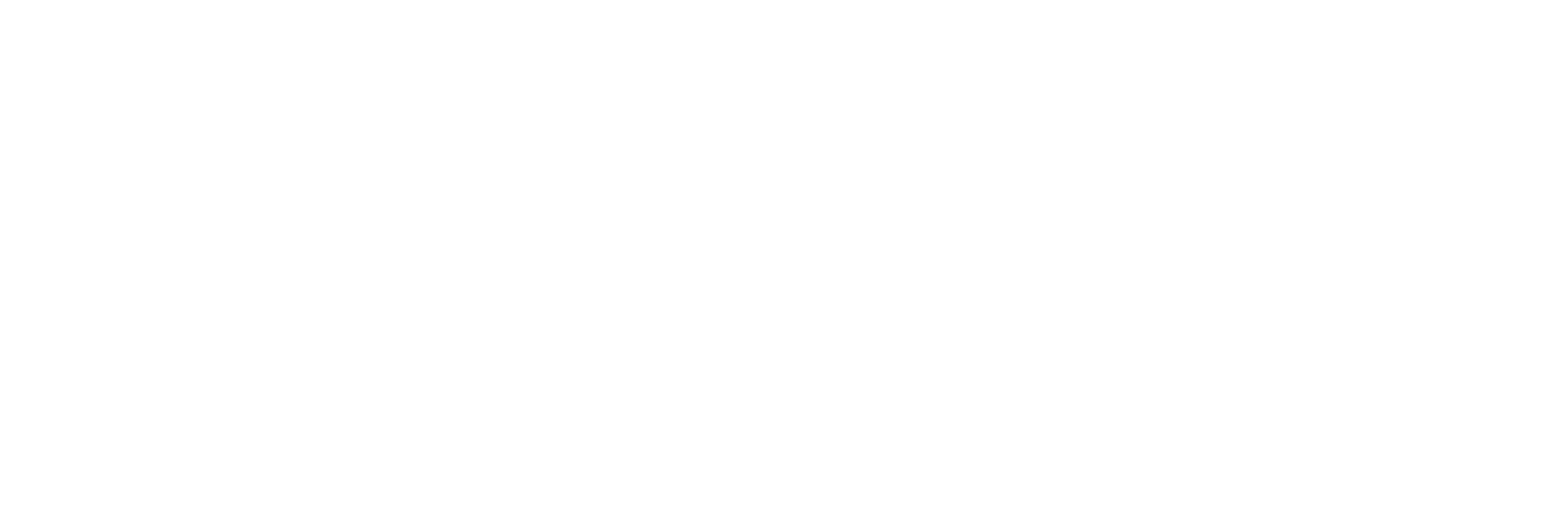 Investor Management - DSS